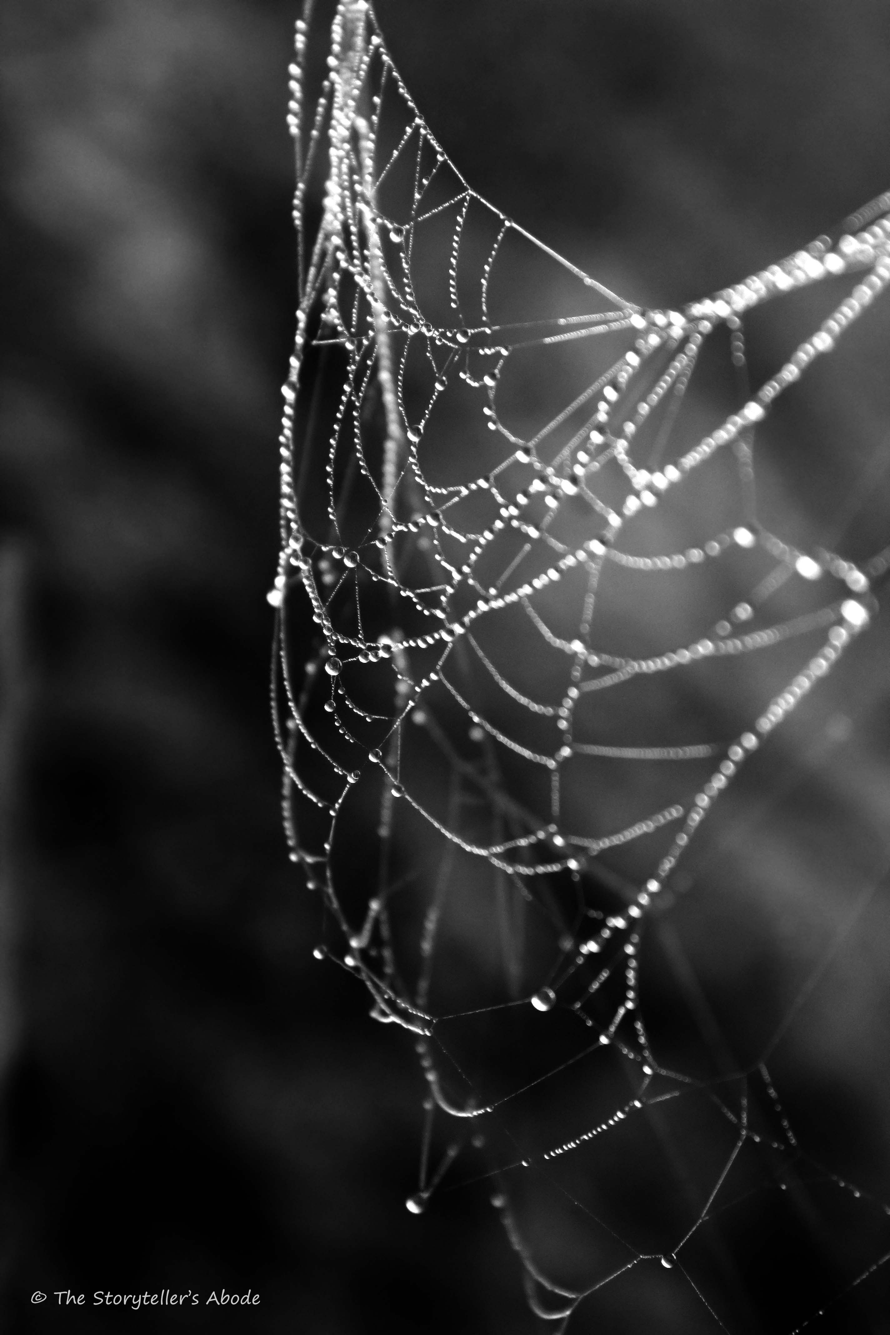 Droplets – An Enchanted Place