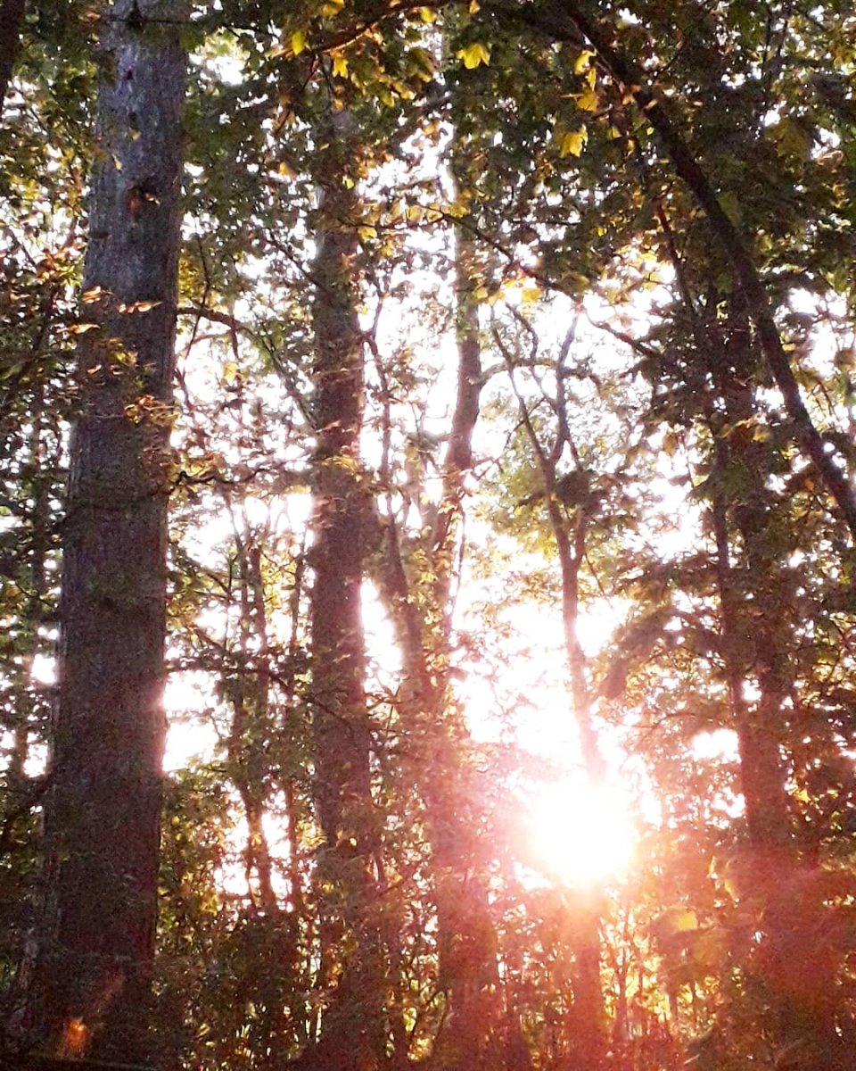 Midsummer Dawn – An Enchanted Place