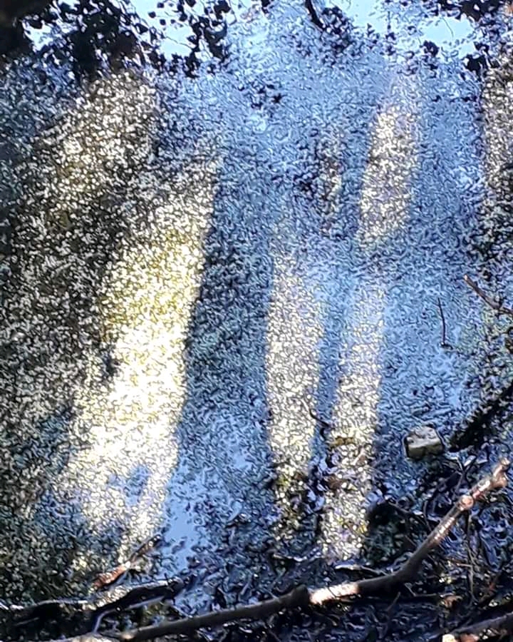 Magic on the Water – An Enchanted Place