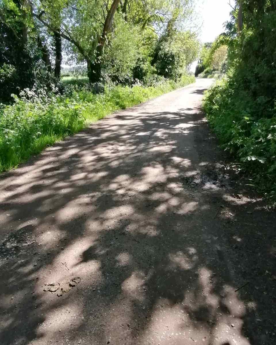 Paths of Dappled Sunlight – An Enchanted Place